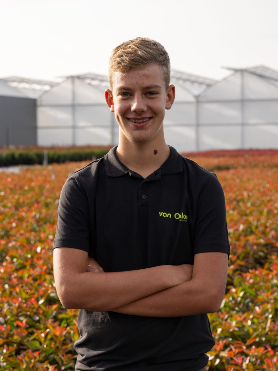 Over ons - van Oploo Tuinplanten